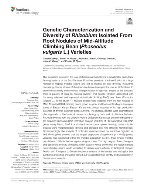 Pdf Genetic Characterization And Diversity Of Rhizobium Isolated From Root Nodules Of Mid