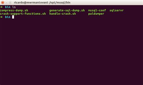 instalando o microsoft sql server 2017 linux ubuntu