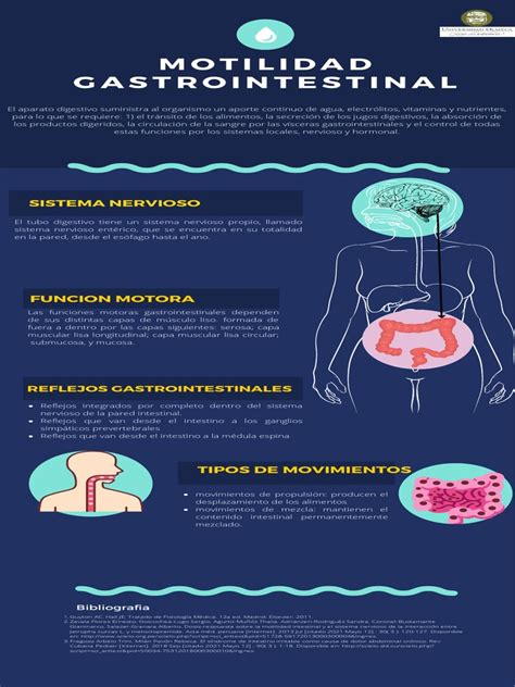 Tipos De Motilidad Gastrointestinal Pdf Tracto Gastrointestinal