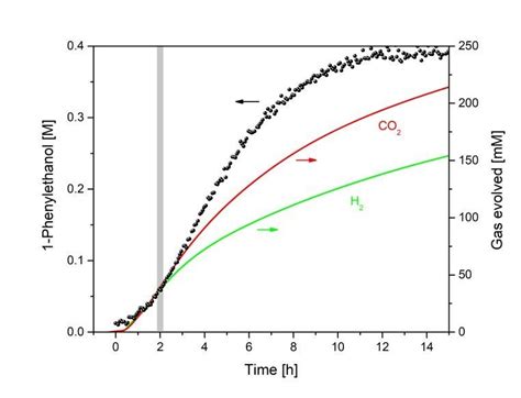 Product Formation And Gas Evolution Profiles During The Hydrogenation Download Scientific