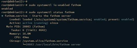 How To Install Fathom Privacy Focused Web Analytics On Debian 12