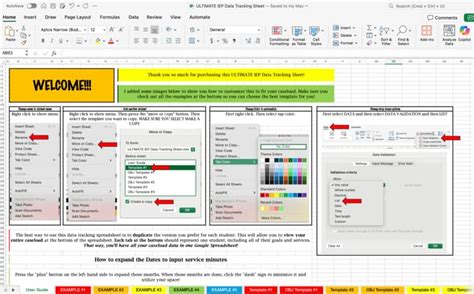 Ultimate Iep Data Tracking Excel Sheet 5 Customizable Templates For