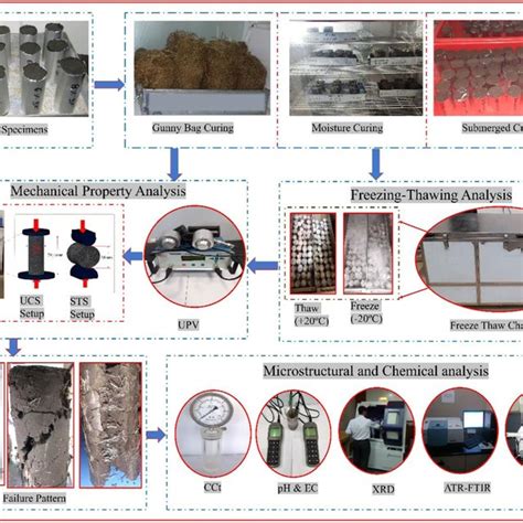 Detailed Experimental Procedure To Assess The Micro Physical Coupling Download Scientific