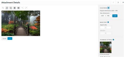 Wordpress Image Optimization Guide Wp Daddy