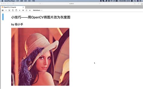 用Python将图片转化为灰度图 哔哩哔哩 bilibili