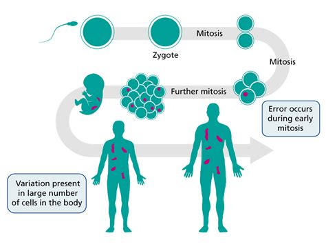 Genetic Mosaicism Gender