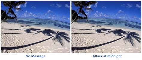 Step By Step Setting Up A Reverse Shell With Netcat By Logictech Infosec Write Ups