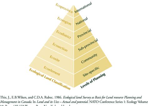 Ecological Classification Linked To Levels Of Planning Download Scientific Diagram