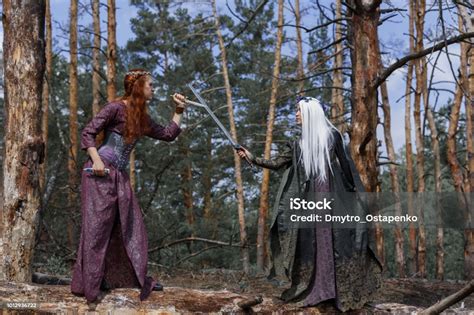 동화와 판타지의 영웅입니다 사제 하프 엘 프 요정 마녀 요정 공예 제품에 대한 스톡 사진 및 기타 이미지 공예 제품 공포 무서움 그림자 Istock