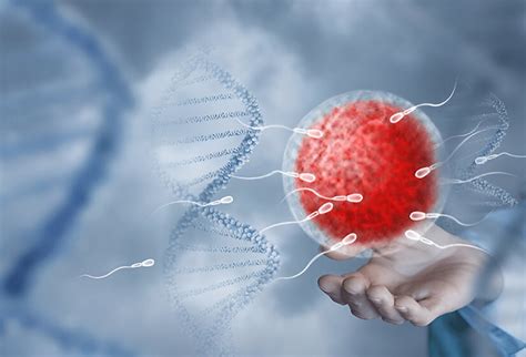 What Is The Treatment For Low Sperm Count