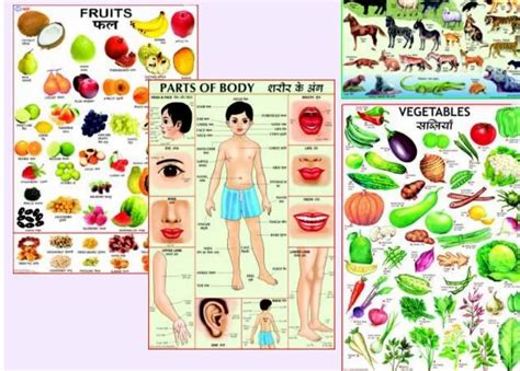 Multicolor English Large Nursery Charts Size 70x100cms At ₹ 120piece