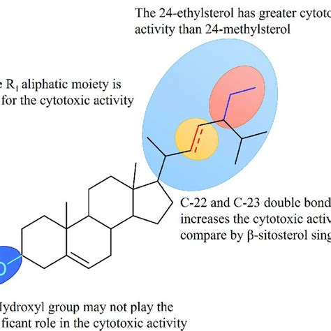 Structure Activity Relationships Of Phytosterol From Root Bark Of R Download Scientific