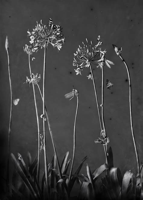 Whitney Lewis Smith