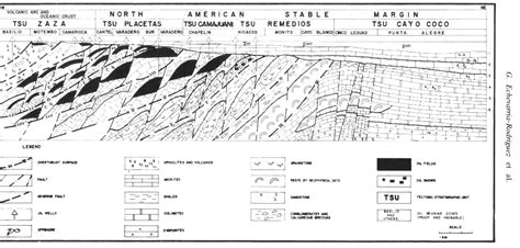Litho Stratigraphic Cross Section Across The Northern