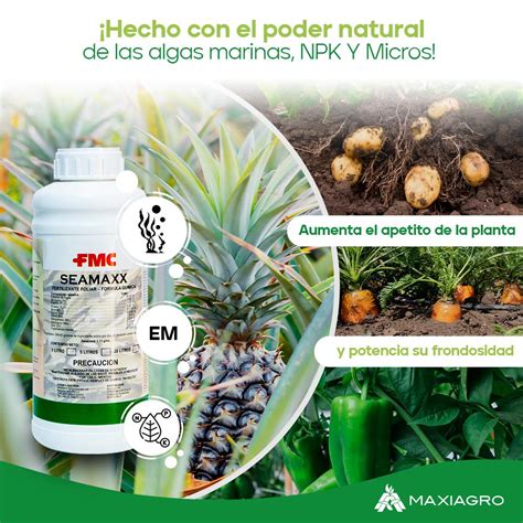 Maxiagro 🌱 ¡control Total De Plagas Con Gusamax 90 Sp De Maxiagro 🌱💥 Este Insecticida