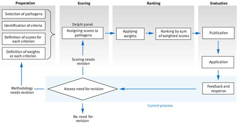 Figure Prioritisation Workflow Robert Koch Institute 2008 10