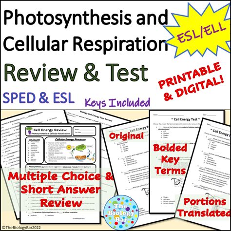 Cellular Respiration And Photosynthesis
