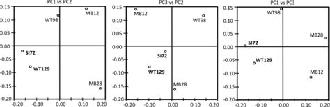 Principal Component Analysis Plots Showing The Clustering Of 16s Rrna
