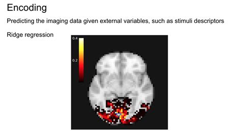 Encoding And Decoding With Stochastic Neuron Models Heuristic