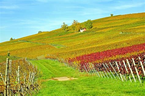 Free Picture Agriculture Rural Countryside Landscape Nature Field