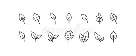 Leaf Line Icon Set Tree Leaves Vector Stock Vector Illustration Of Birch Organic 270068270