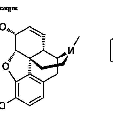 Chemical Structures Of Pholcodine And Guaiacol Download Scientific