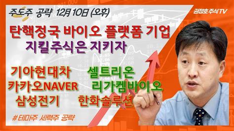 바이오 반도체 포털 2차전지 자동차 대응 전략 Youtube