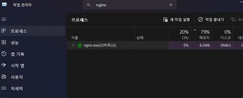 Nginx 2 및 443 포트 바인딩 문제 해결