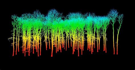 Terrestrial Laser Scanners Collect Forest Data In Awesome Animation Woodworking Network