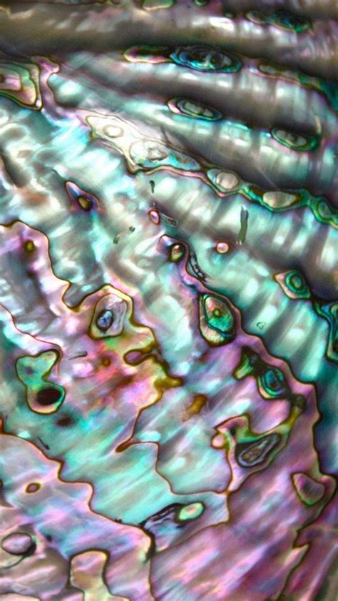 Download Vibrant Pastel Abalone Shell Wallpaper