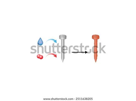 Rusting Process Mechanism Chemical Reaction Between Stock Vector Royalty Free