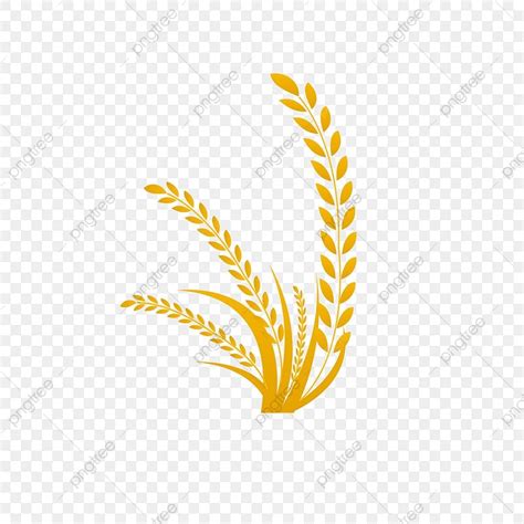 Wheat Spikes Png Picture Hand Drawn Wheat Spike Vector Element Hand