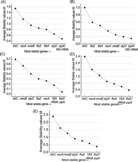 Biocell Free Full Text Selection And Validation Of Reference Genes For Quantitative Real
