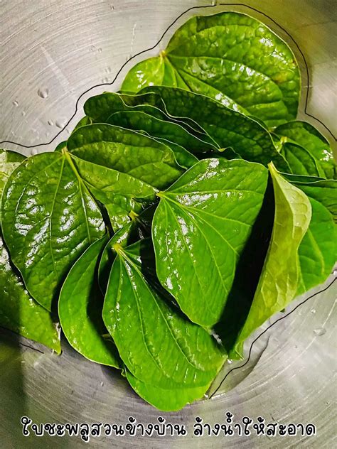 แกงคั่วคอหมูย่างใบชะพลู แกลเลอรีที่โพสต์โดย ᴀᴇʏ ☺︎ ⍨ ⍢ ☻ Lemon8