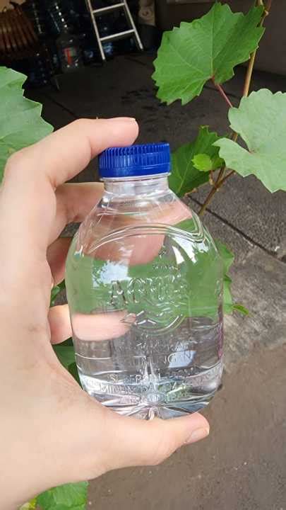 Aqua Cube 220ml Lazada Indonesia