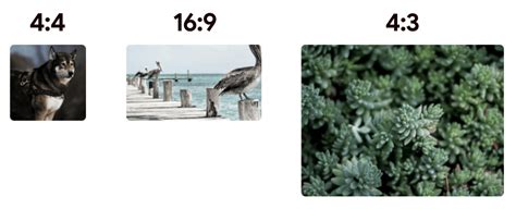 Building A Media Scroller Component Articles Webdev