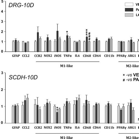 Mrna Levels Relative To The Housekeeping Gene β‐actin In The Drg A