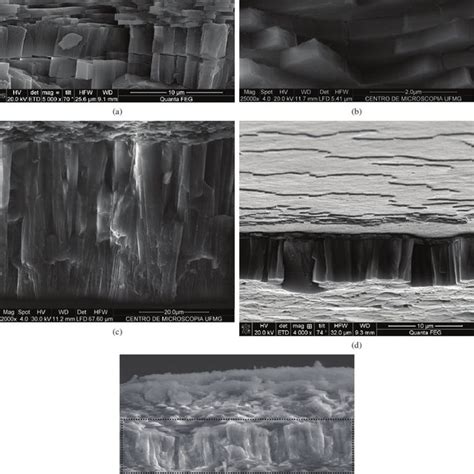Scanning Electron Micrographs A Sheet Nacreous Layer Composed Of Download Scientific Diagram