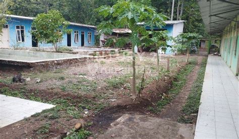 Rumah Dengan Kolam Renang Dijual Di Beber Cirebon Terbaru 2025