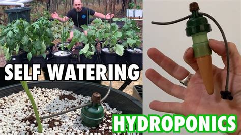 Self Watering Moisture Sensing Gravity Fed Hydroponic System Hydroponics System Hydroponics