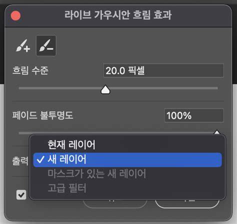 Photoshop의 흐림 효과 갤러리 사용