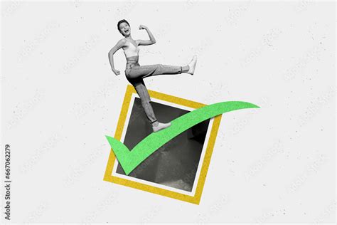 Collage Photo Picture Illustration Huge Check Mark Tick Completed Her Task Goal Achieved Done