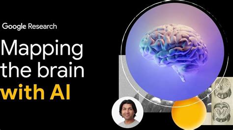 Mapping The Brain Lifeboat News The Blog