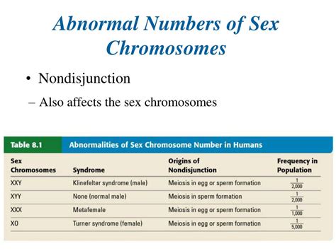 Ppt The Human Life Cycle And Cell Division Powerpoint Presentation