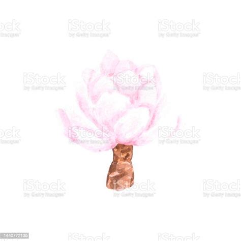 흰색 배경에 즙이 많은 식물 손으로 그린 수채화 식물의 섬세한 그림입니다 스크랩북 디자인 요소 타이포그래피 포스터 카드 라벨 배너 디자인 0명에 대한 스톡 벡터 아트 및