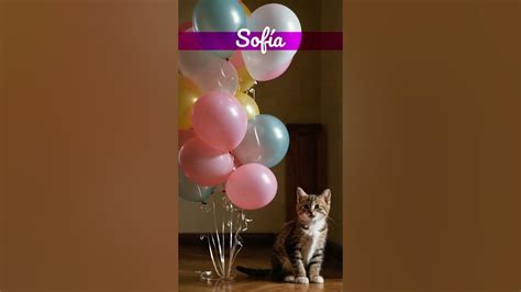 Cute Kitten Sofía Youtube