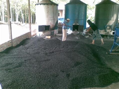 Palm Kernel Shell Charcoal Tradekorea