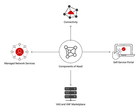 What Is Naas And How Does It Enhance Security
