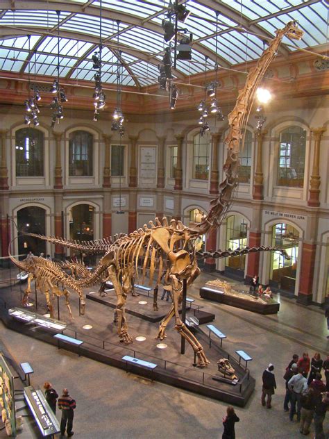 This Brachiosaurus Skeleton Rnaturewasmetal