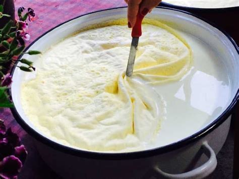 What Is Nata Starter At Erica Laforge Blog